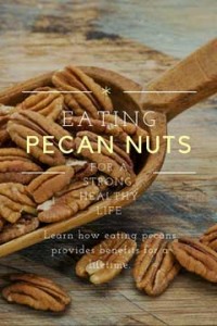 Eating Pecan Nuts for a Strong Healthy Life - Stahmanns Pecans