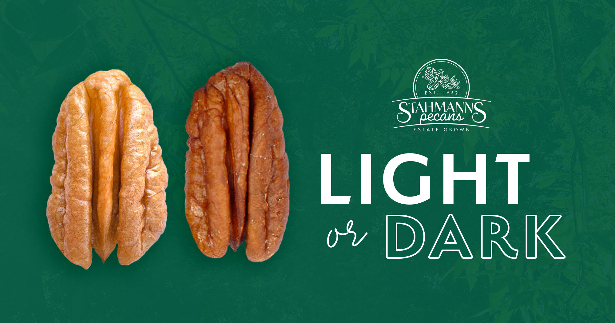Why Light Natural Pecans are Better Than Dark Pecans - Stahmanns Pecans